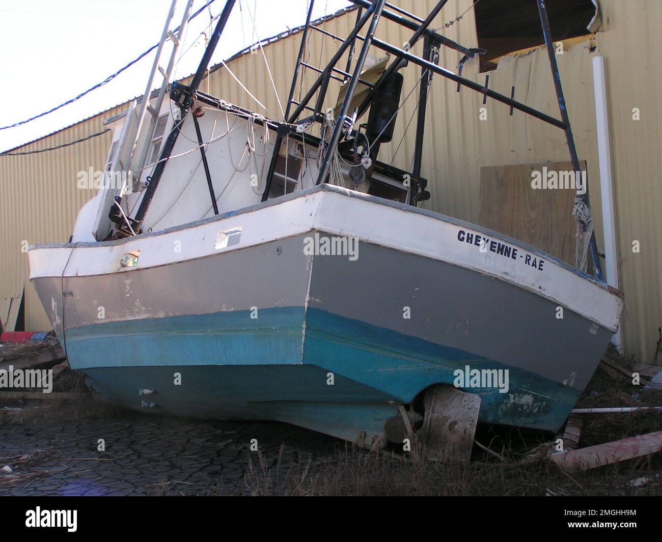 Cheyenne rae hi-res stock photography and images - Alamy