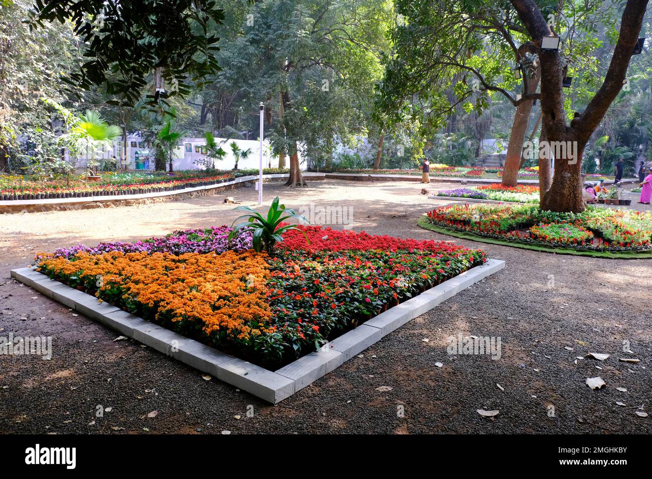 25 January 2023, Pune, India, The empress Botanical Garden during ...