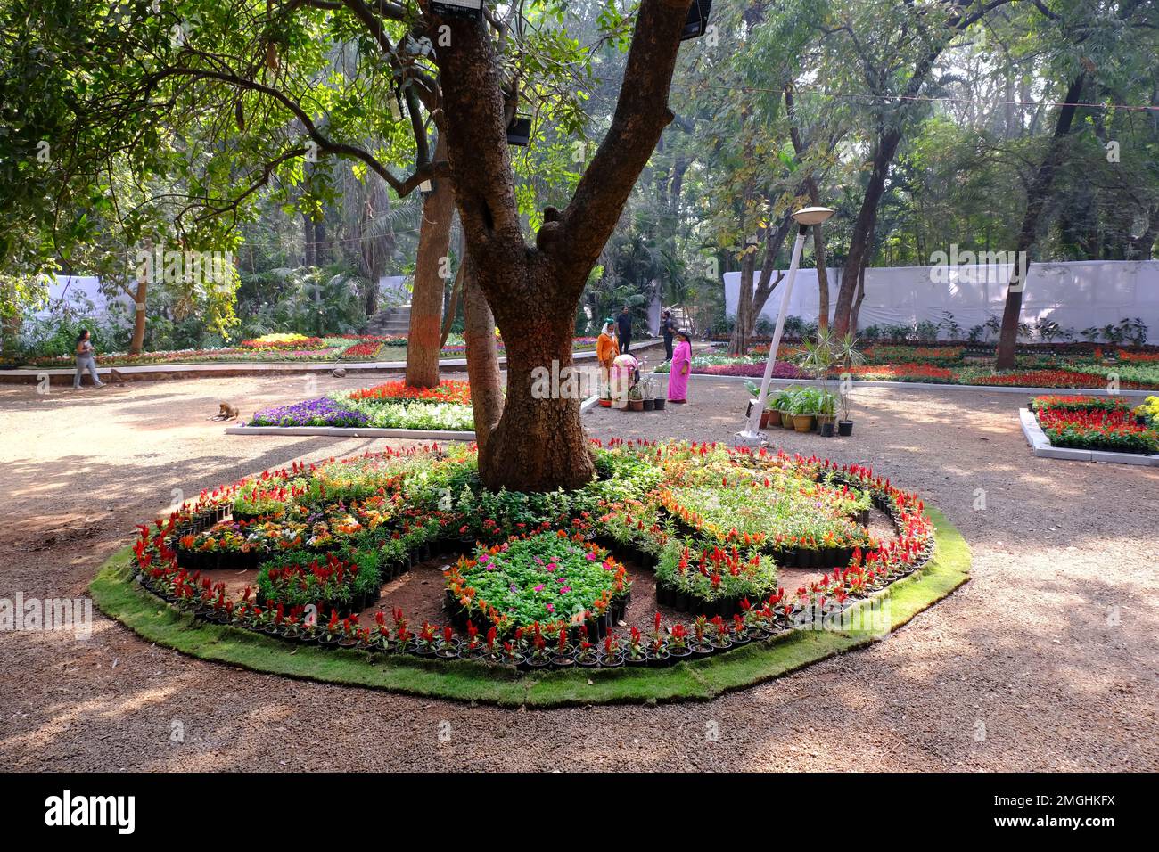 25 January 2023, Pune, India, The empress Botanical Garden during ...