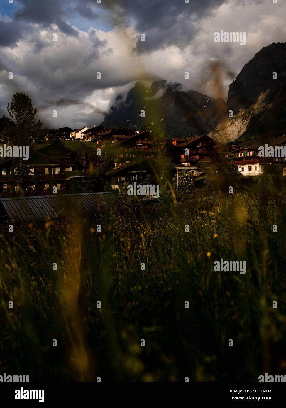 A Scenic Picture of Grindelwald, Switzerland Stock Photo - Alamy