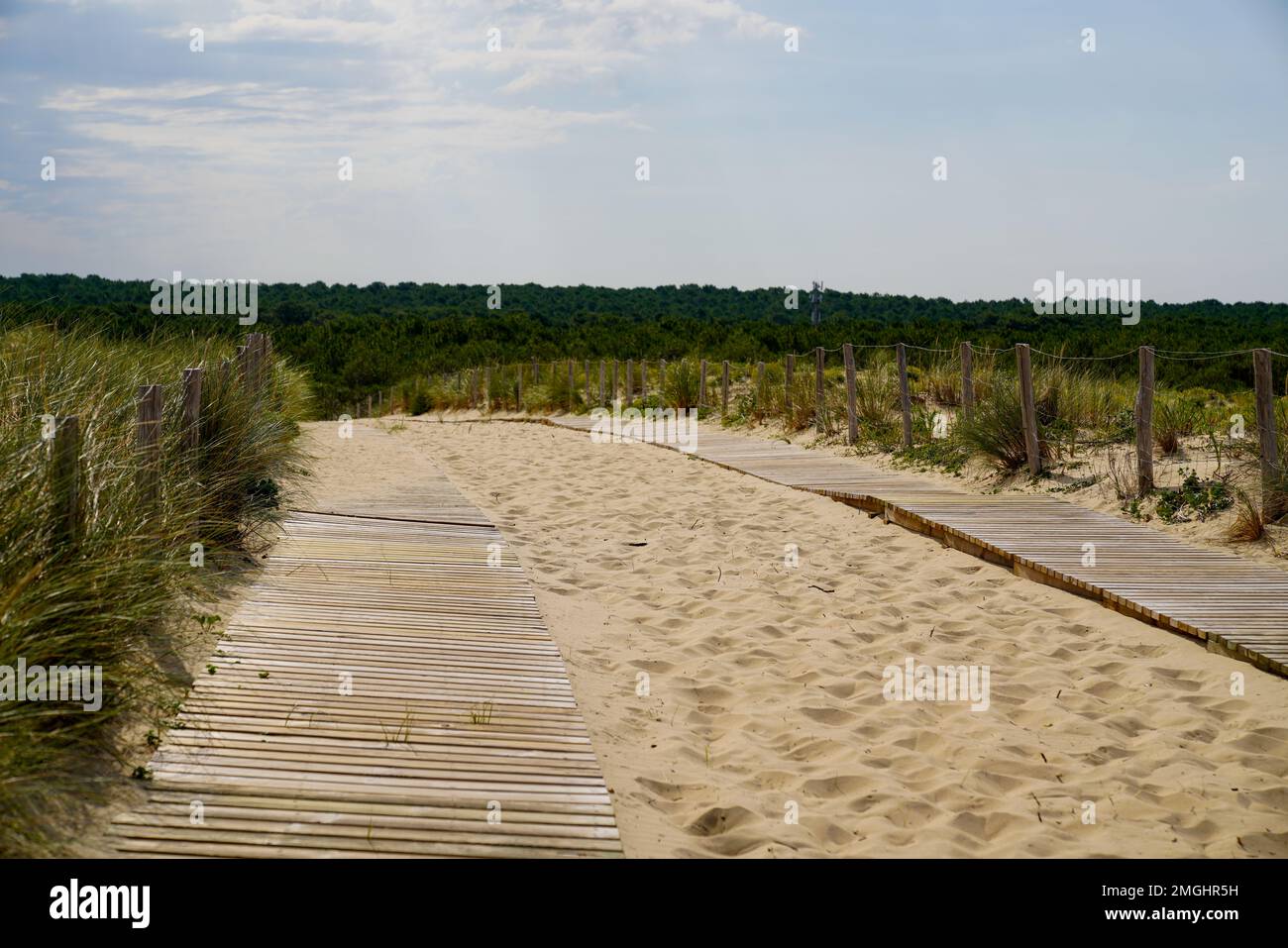 Fenced wood access beach pathway access sea coast in france Stock Photo ...