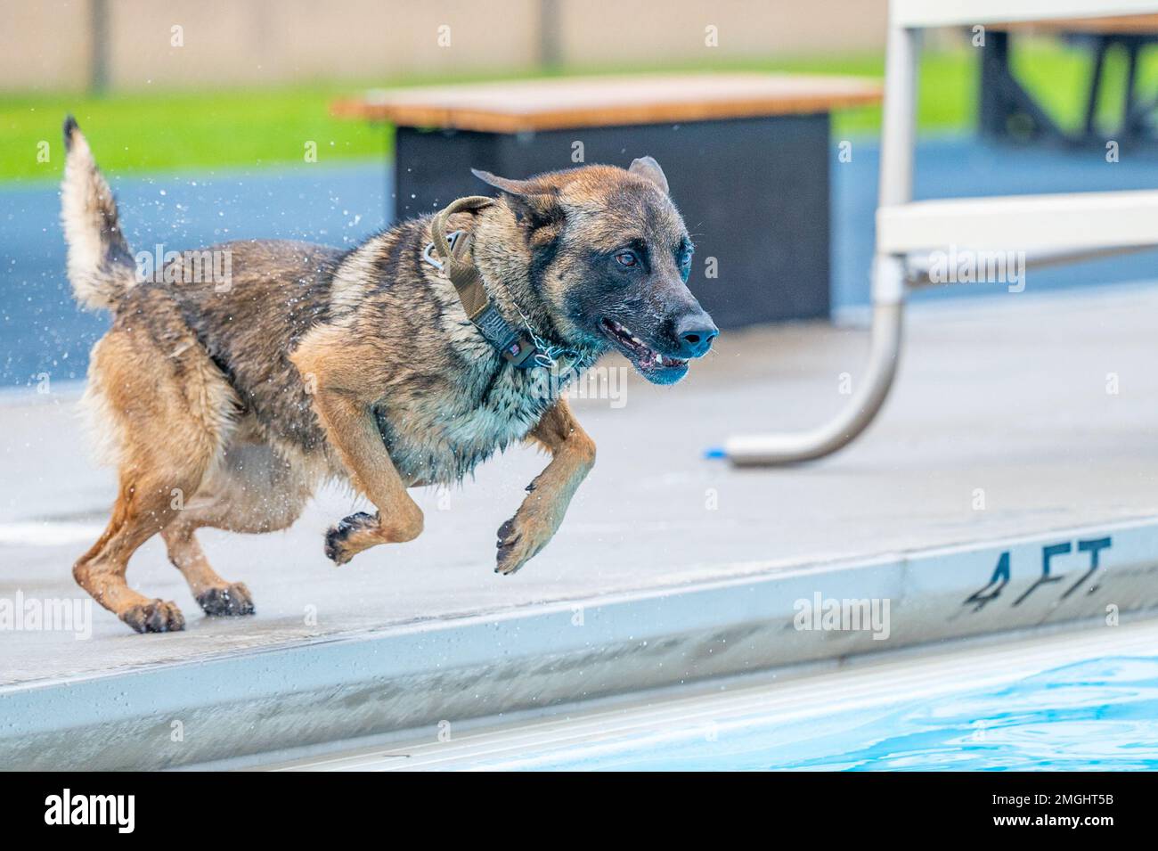 341st security forces squadron hi-res stock photography and images - Alamy