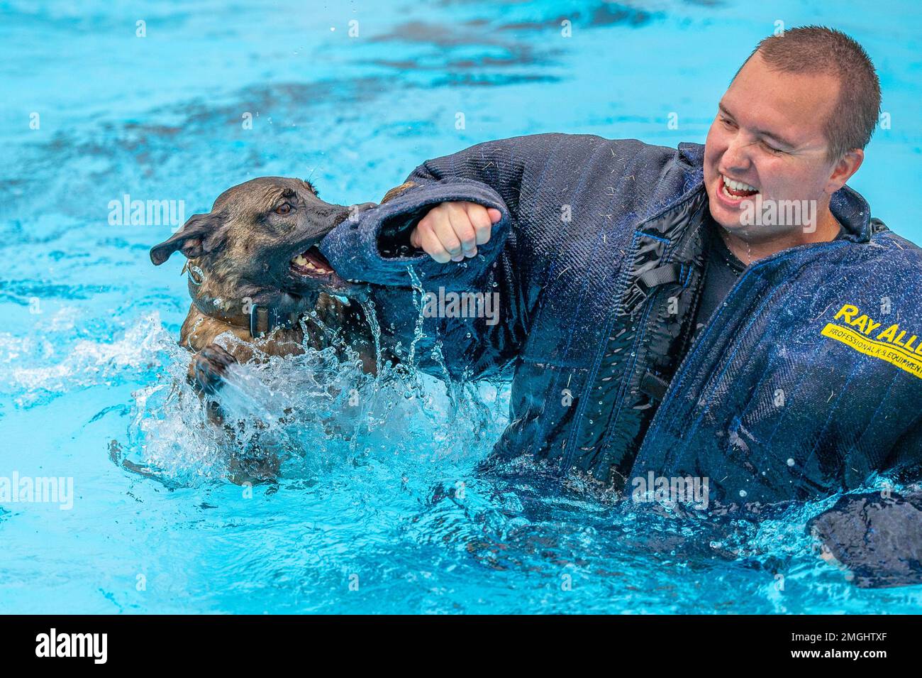 Ffarah, 341st Security Forces Squadron military working dog, swims to ...
