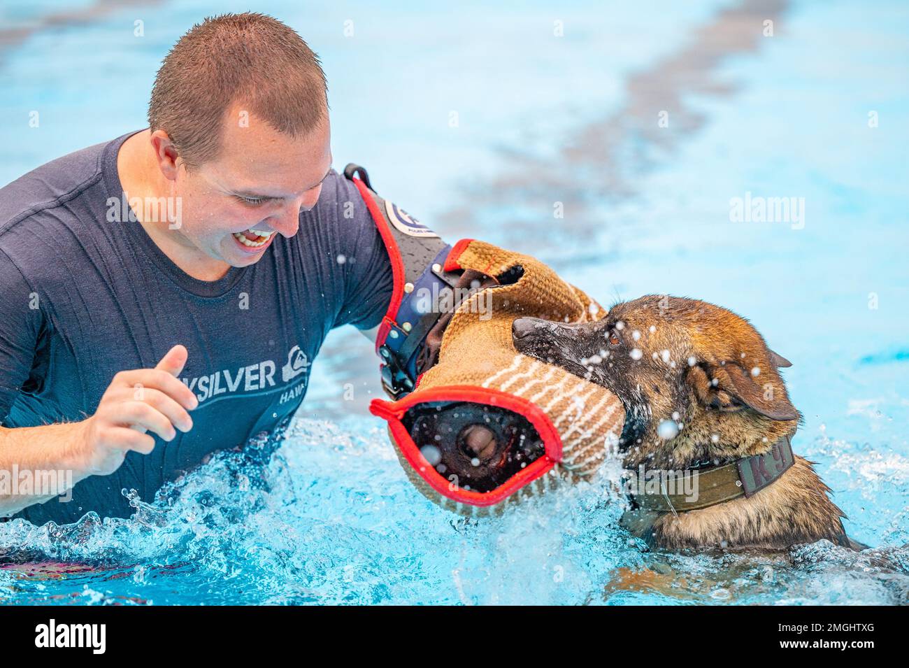Bond, 341st Security Forces Squadron military working dog, clamps on to ...