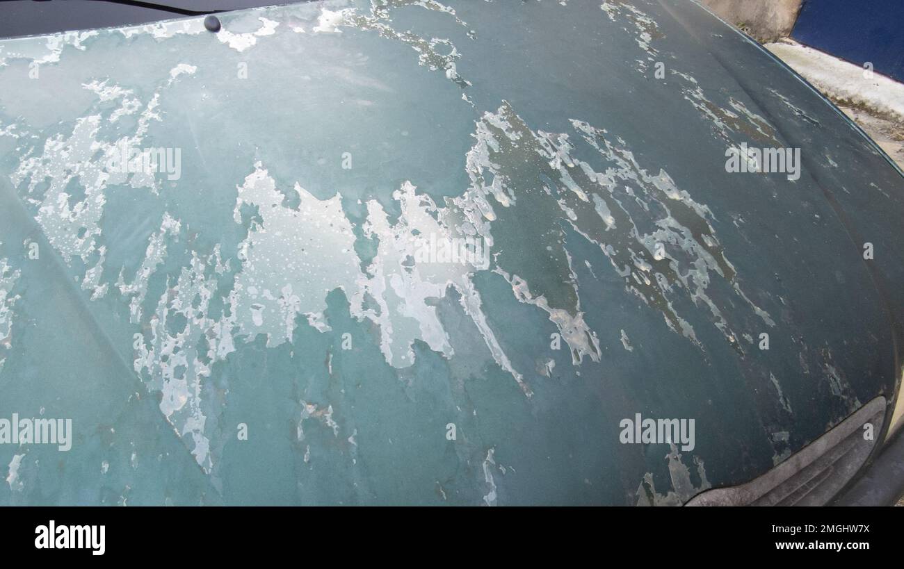Sun damaged car paint hi-res stock photography and images - Alamy