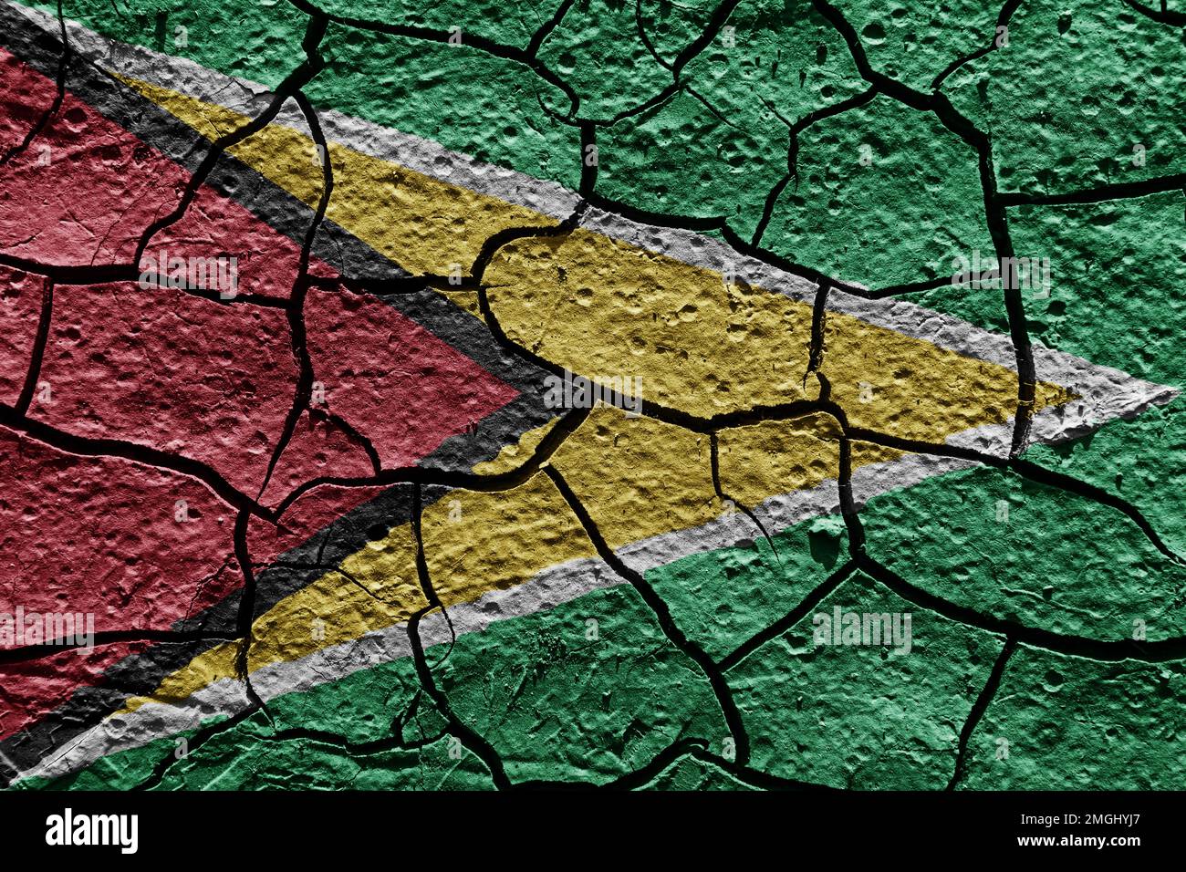 Guyana guyanese flag hi-res stock photography and images - Alamy