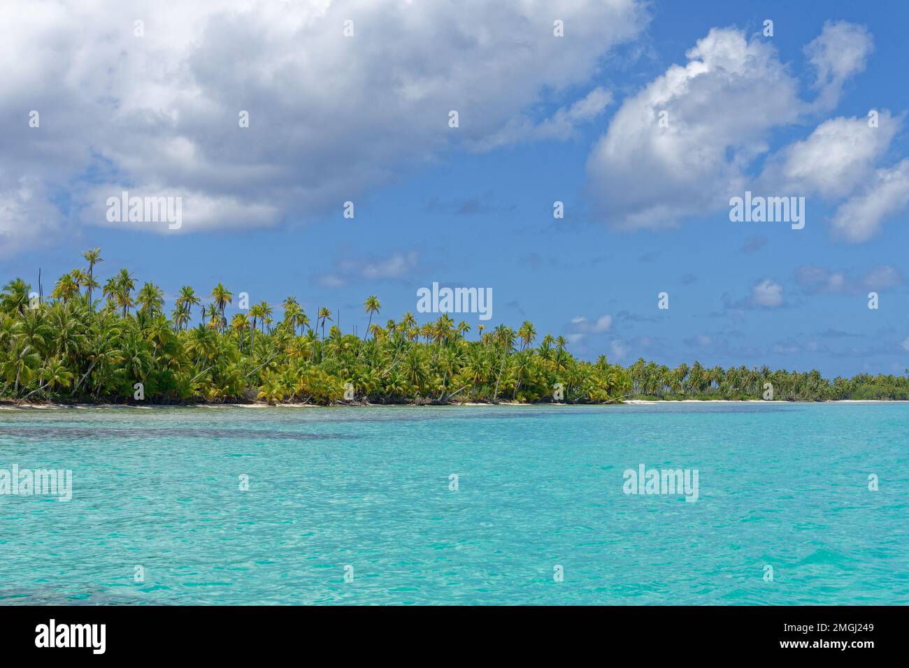 French Polynesia, Rangiroa: Reef Island, islet (“motu” Stock Photo - Alamy