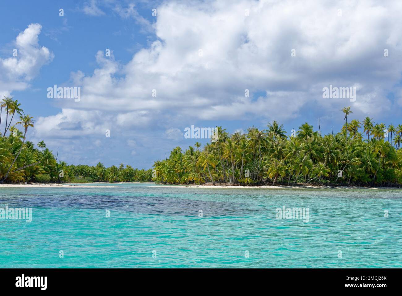 French Polynesia, Rangiroa: Reef Island, islet (“motu” Stock Photo - Alamy