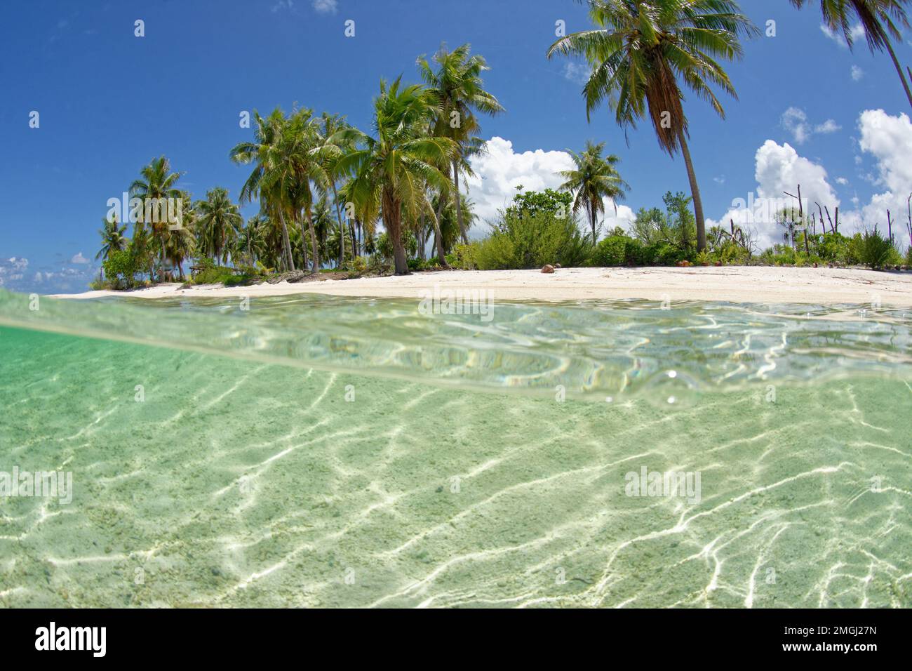 French Polynesia, Rangiroa: Reef Island, islet (“motu”), translucent ...
