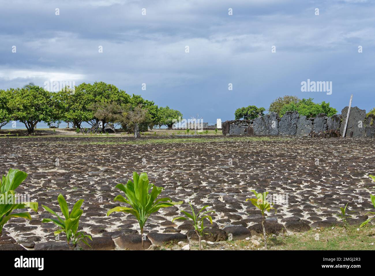 French Polynesia, Raiatea: Marae Taputapuatea, UNESCO World Heritage ...
