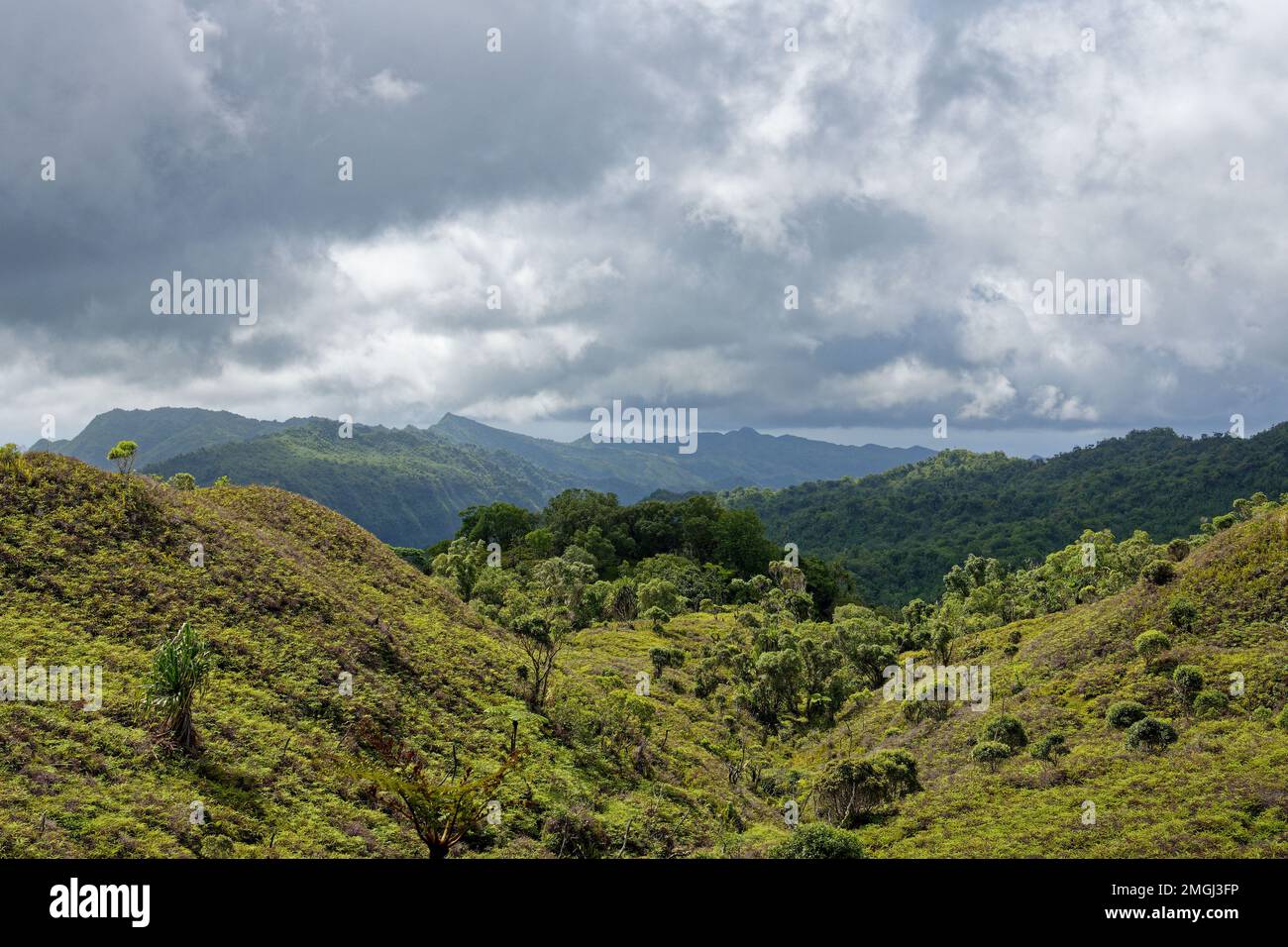 Marquesas Islands, French Polynesia: overview of the green mountains ...