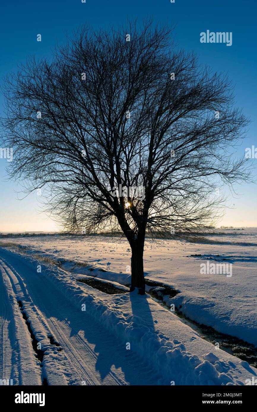 Long shadows of objects in a snowy winter day Stock Photo - Alamy
