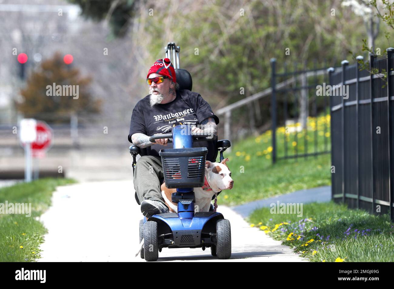 Spider and his pit bull Sophie head back home after Spider bought a ...