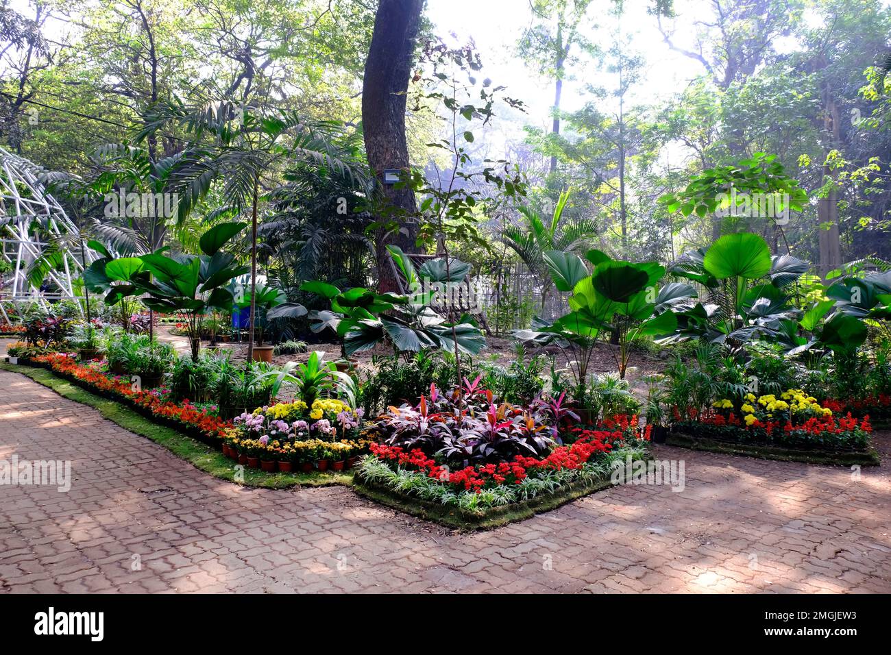 25 January 2023, Pune, India, The empress Botanical Garden during ...