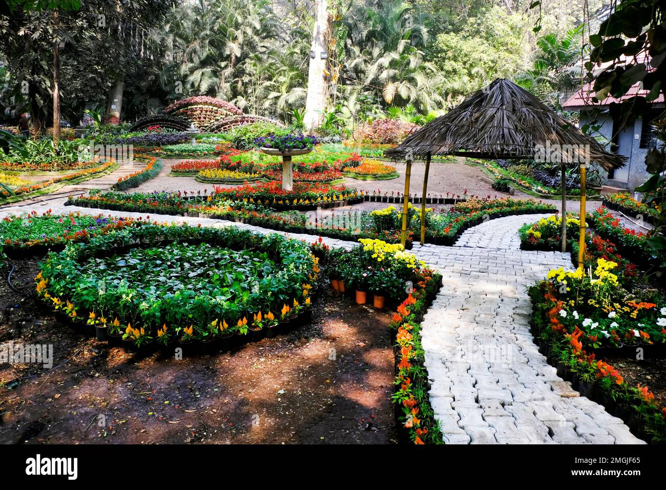 25 January 2023, Pune, India, The empress Botanical Garden during ...