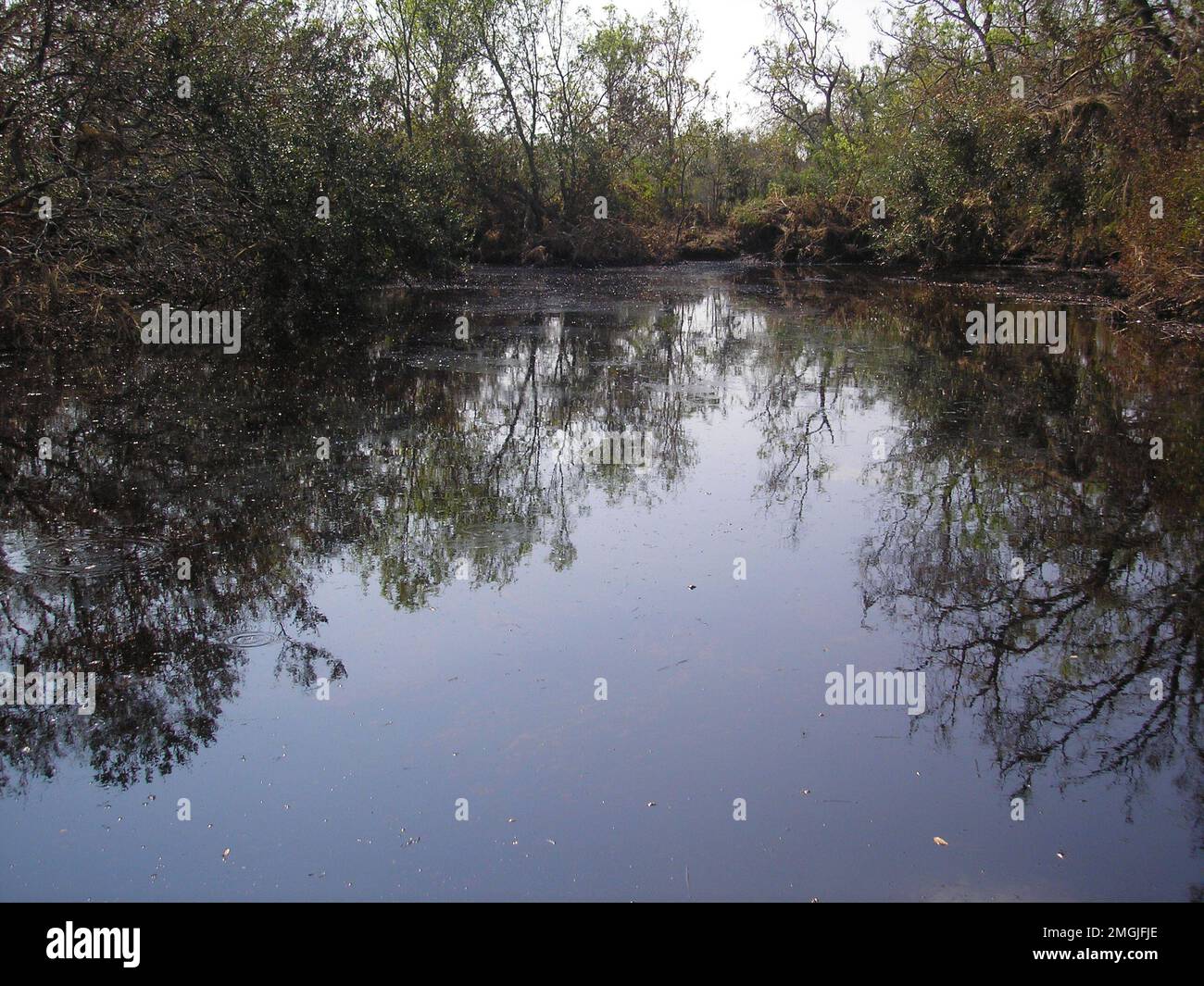 Pollution - ESU St. Louis Response - South Bass - 26-HK-233-100 ...