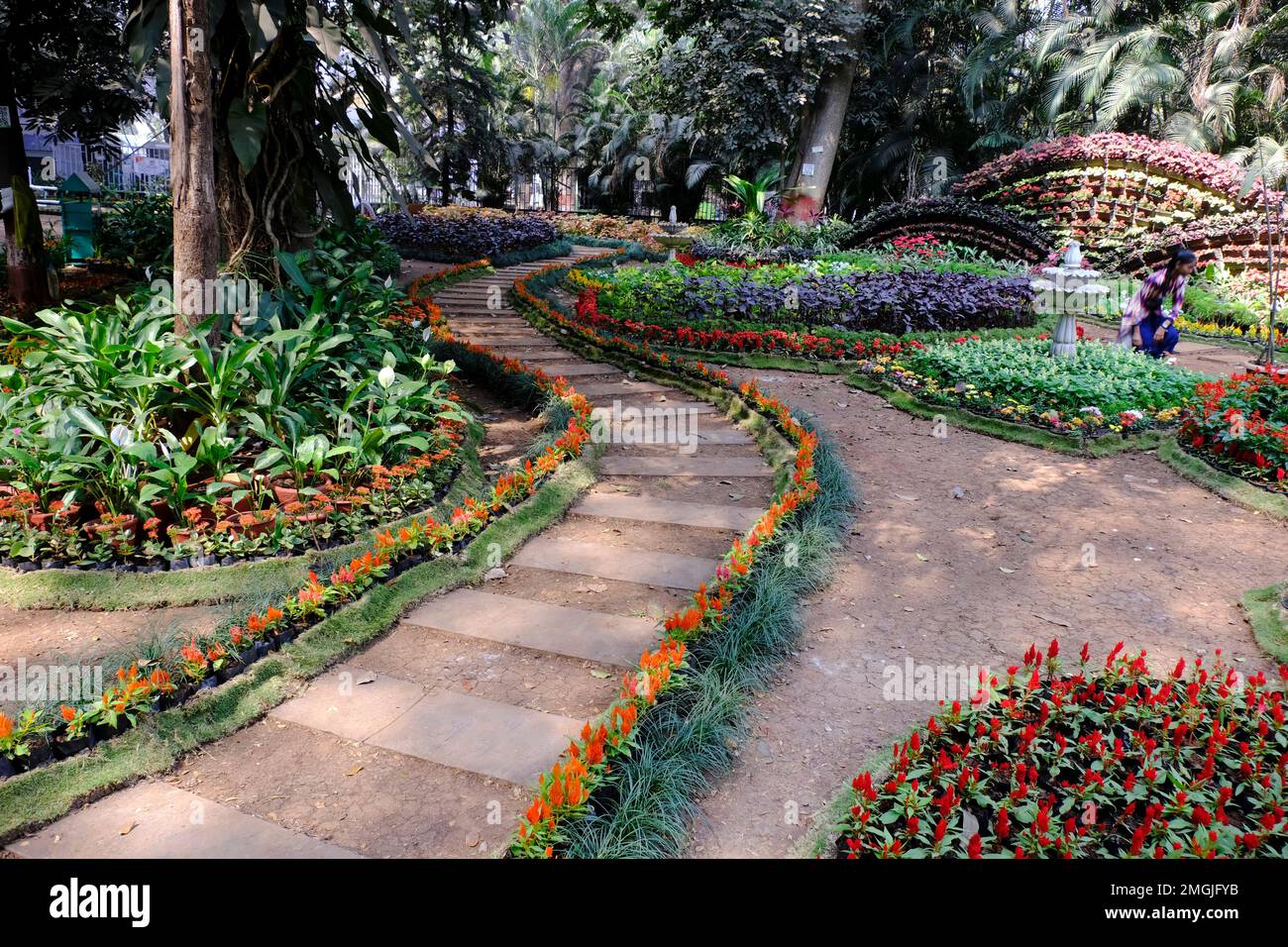 25 January 2023, Pune, India, The empress Botanical Garden during ...