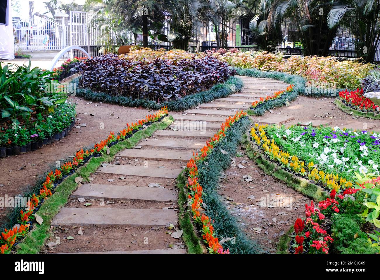 25 January 2023, Pune, India, The empress Botanical Garden during ...