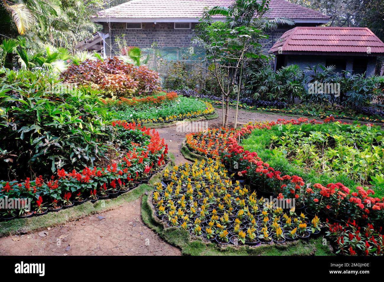 25 January 2023, Pune, India, The empress Botanical Garden during ...