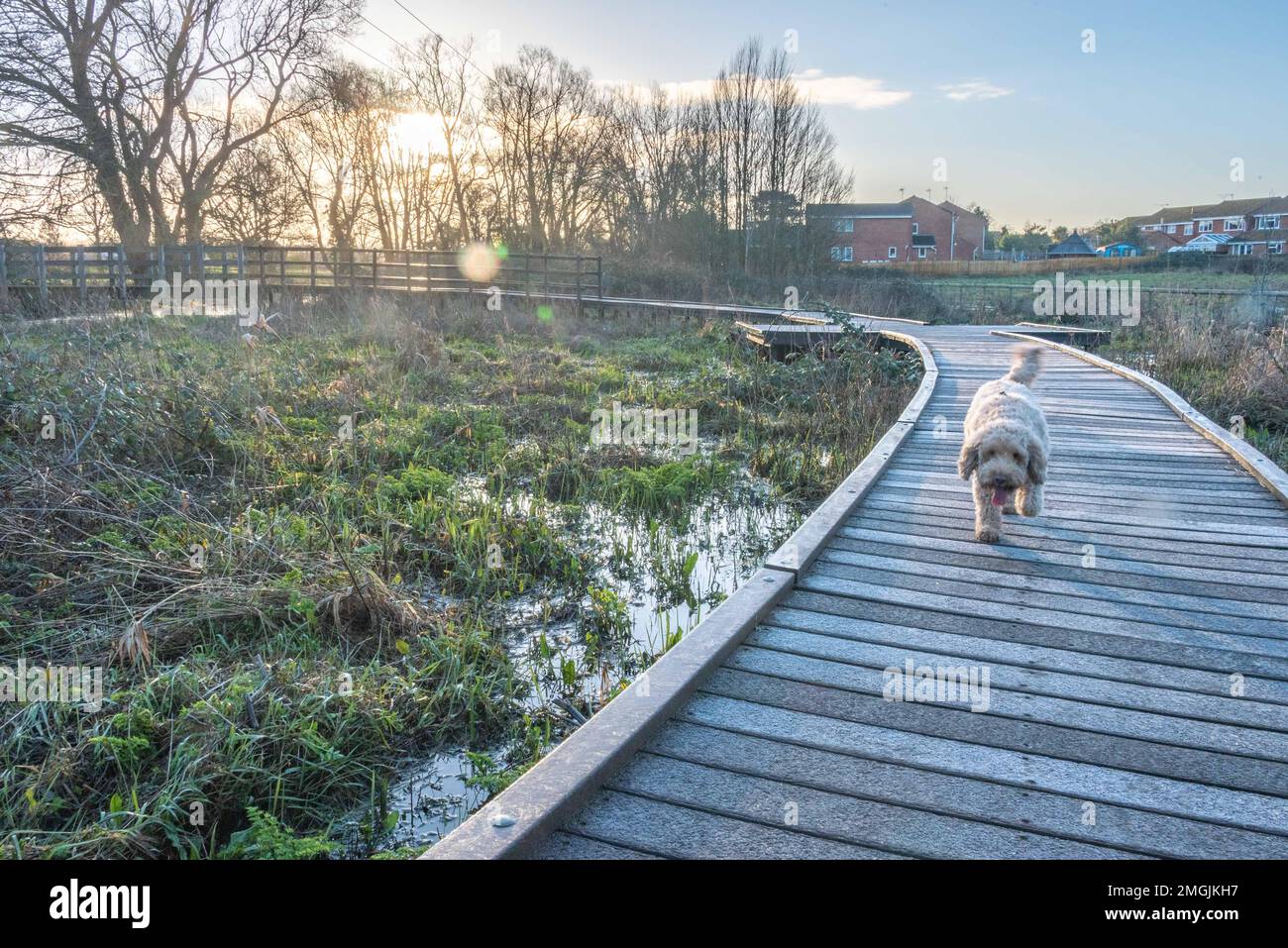 Floods 2023 hi-res stock photography and images - Alamy