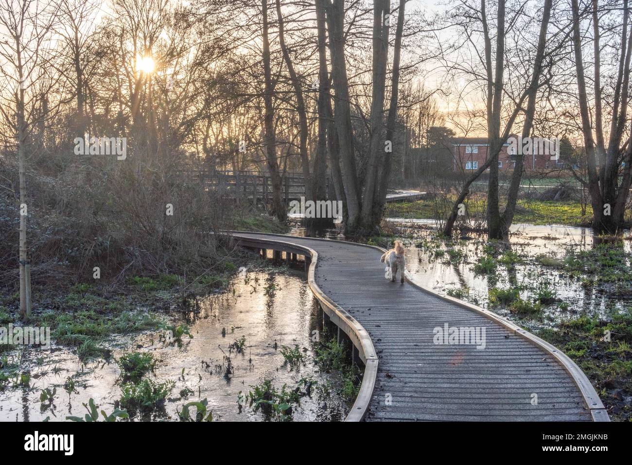 2023 floods hi-res stock photography and images - Alamy