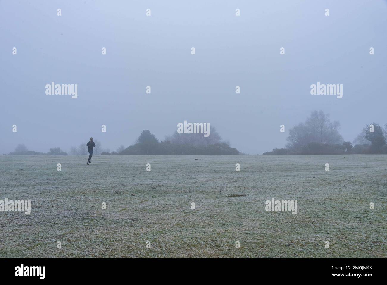 Ponies in foggy new forest hi-res stock photography and images - Alamy