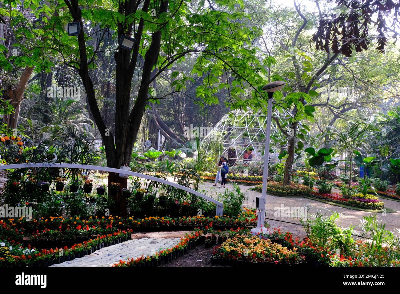 25 January 2023, Pune, India, The empress Botanical Garden during ...