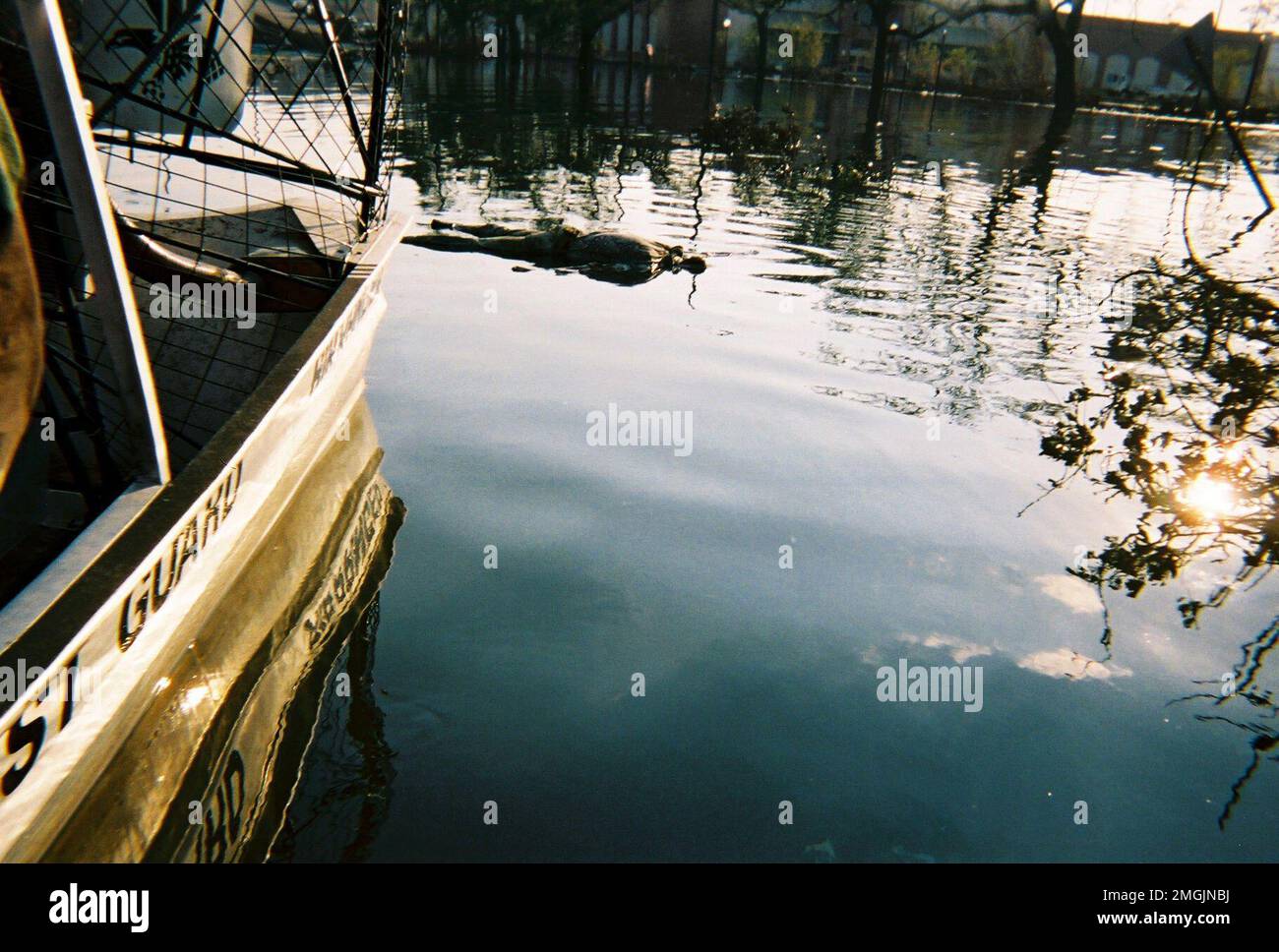 Katrina - Casualties and Graphic Images - 26-HK-438-4. Human Body in ...