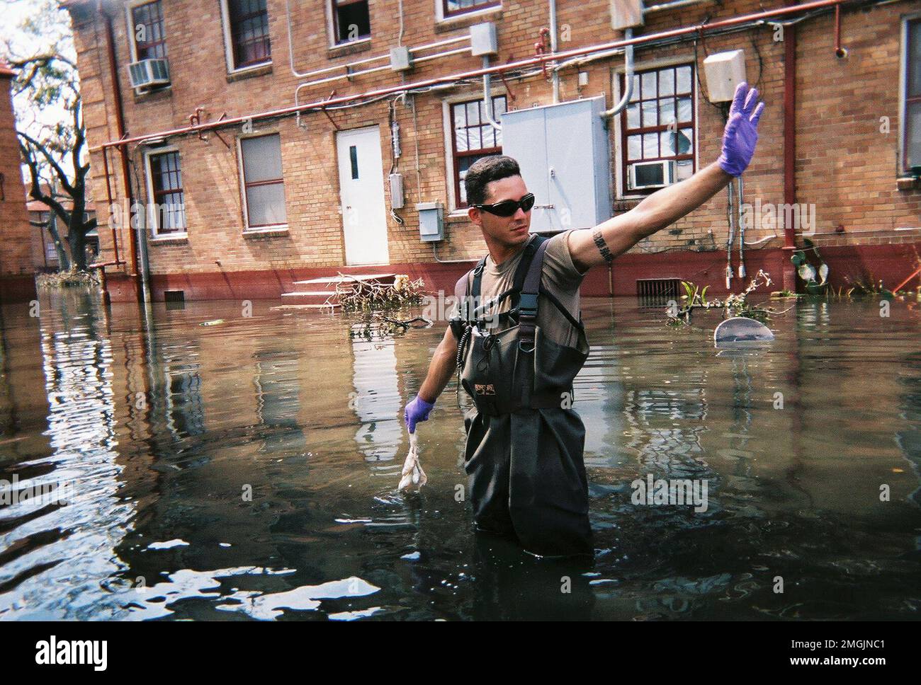 Katrina - Casualties and Graphic Images - 26-HK-438-8. Personnel ...