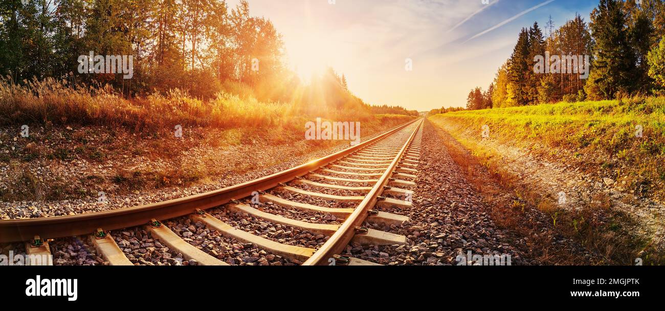 Perspective view of the railroad in countryside Stock Photo - Alamy