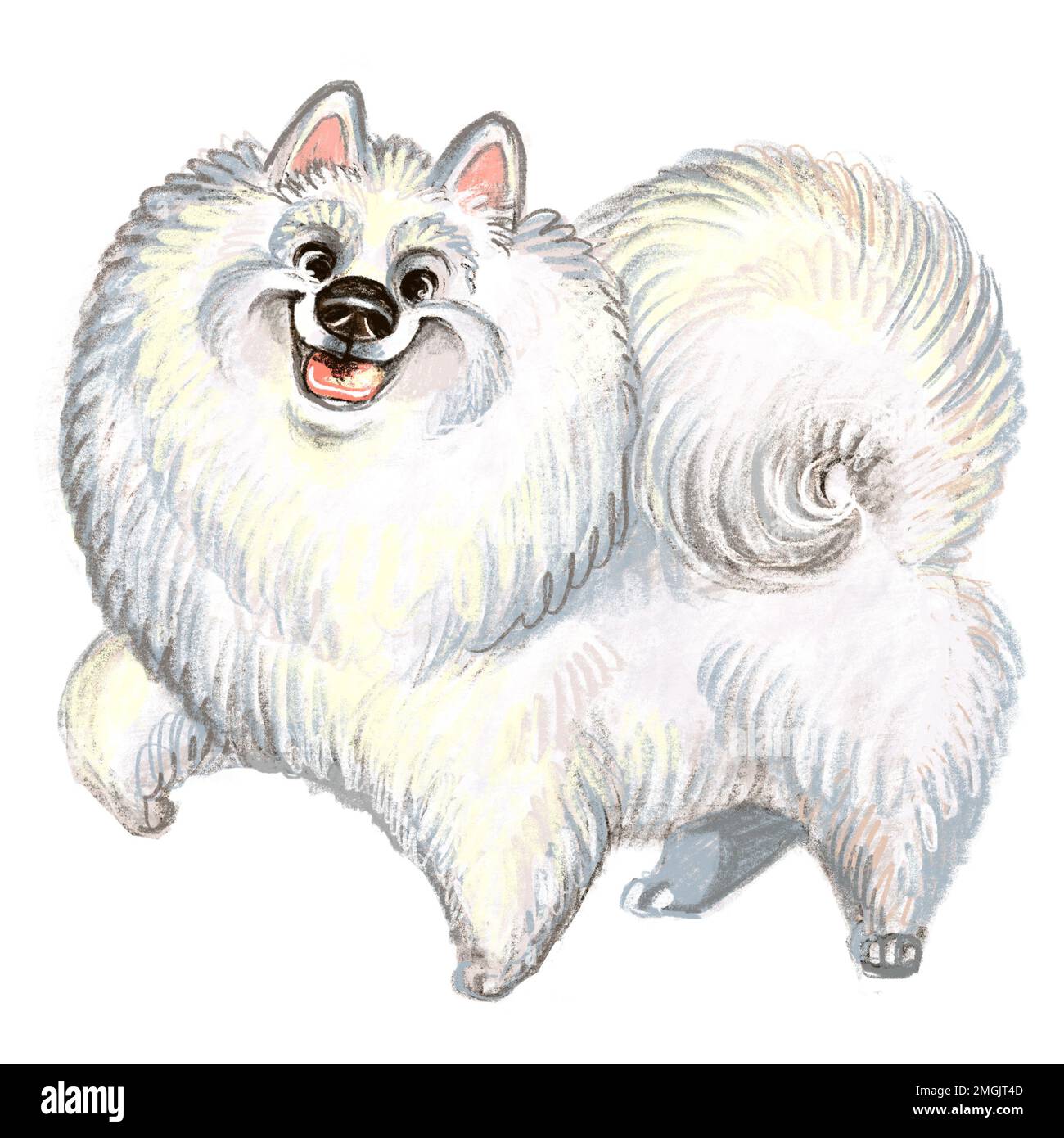 Cute funny cartoon dog character. Samoyed dog breed raster illustration ...