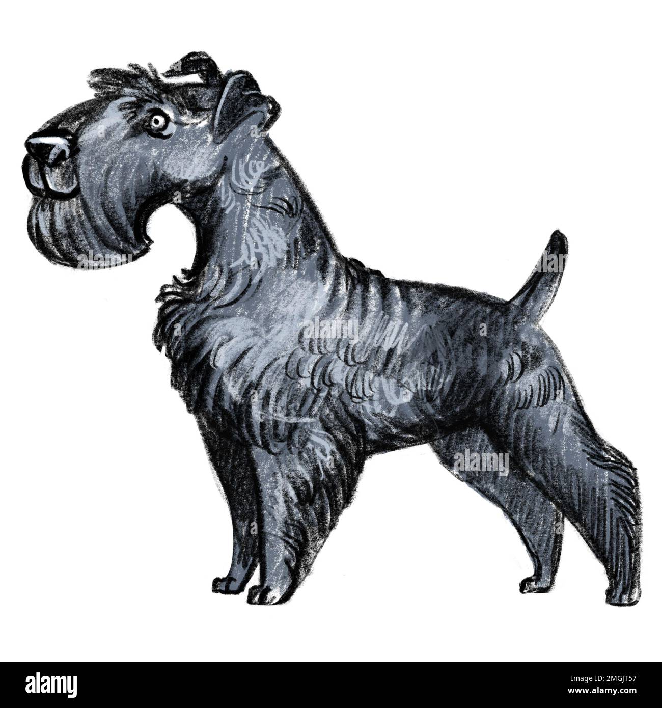 Cute funny cartoon dog character. Kerry blue terrier dog breed raster ...