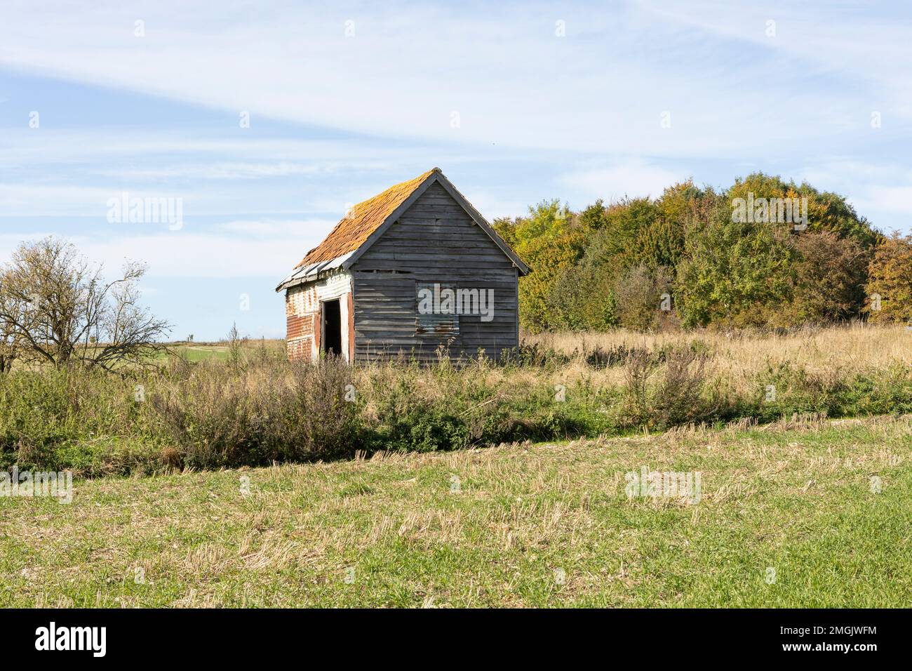 old rustic wooden farm shed, agriculture fields on Salisbury plain ...