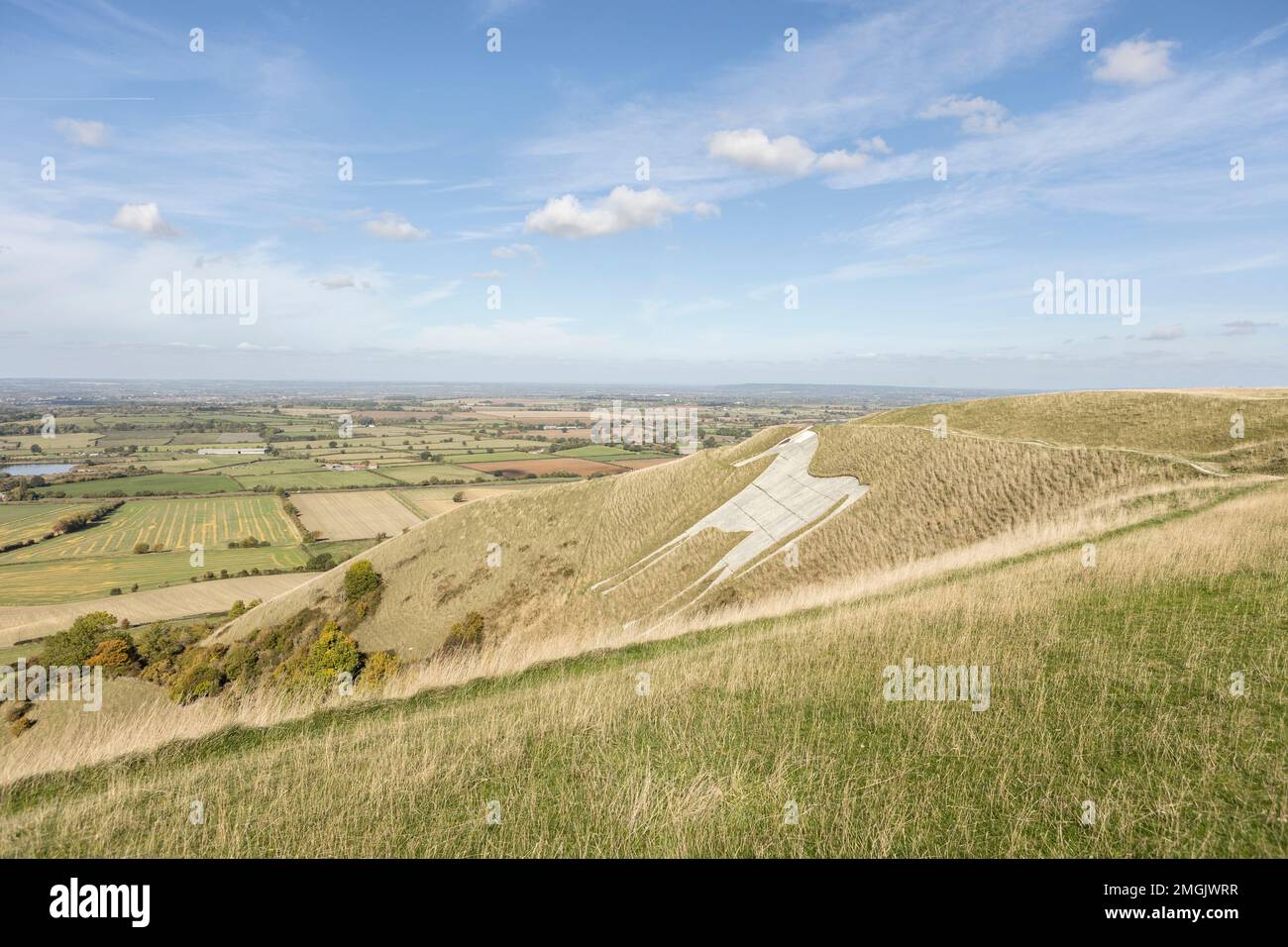 View from Westbury White Horse. Hill figure created by exposing white ...