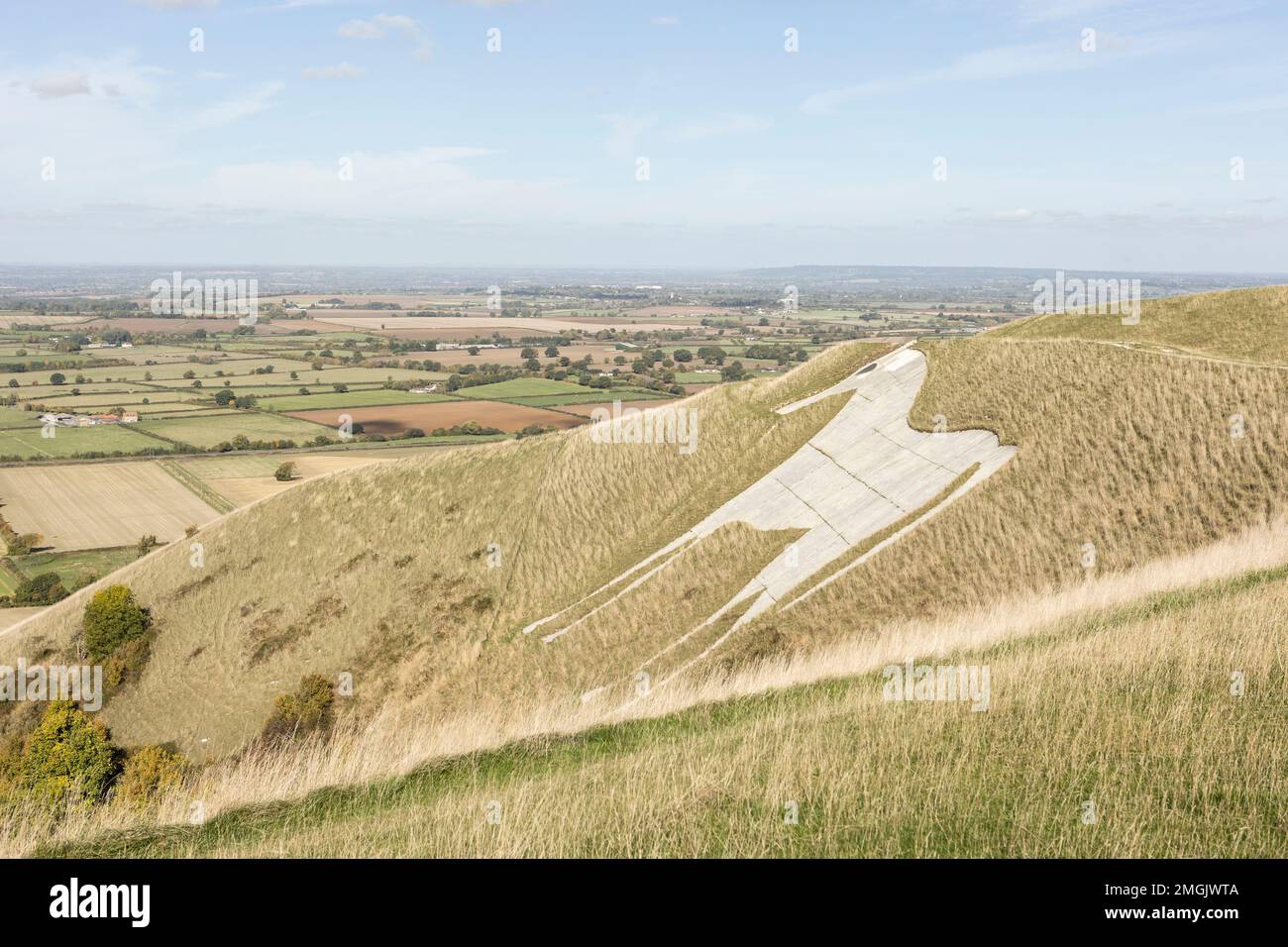 View from Westbury White Horse. Hill figure created by exposing white ...