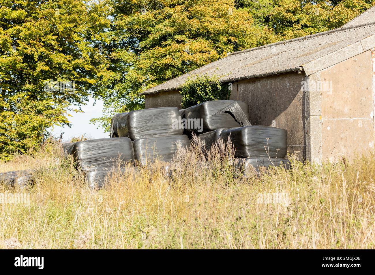 hay straw bales bagged protected plastic covered silage in pile stack ...