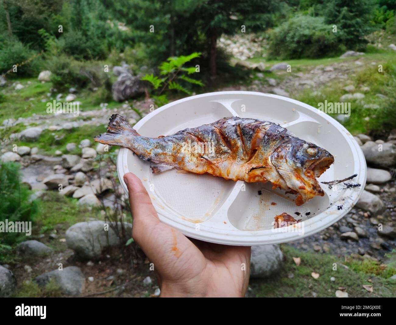 Primitive Fish Roasting Over Fire Images Village Chef