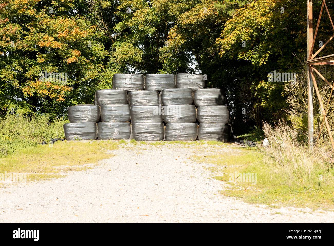 hay straw bales bagged protected plastic covered silage in pile stack ...