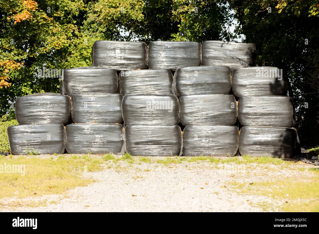 hay straw bales bagged protected plastic covered silage in pile stack ...