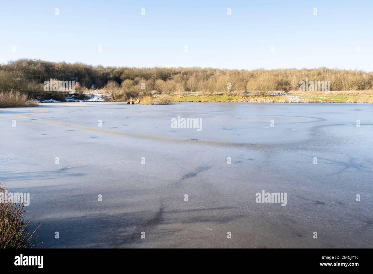 View lake trees during day hi-res stock photography and images - Alamy