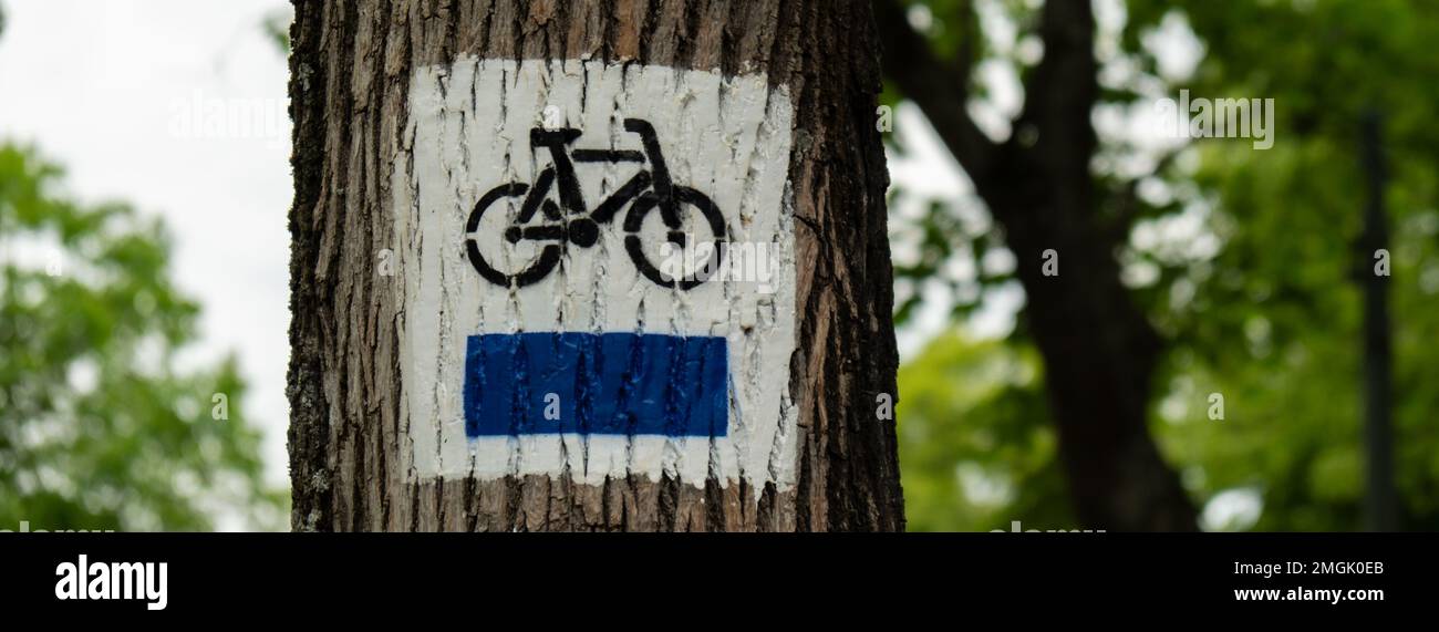 Bicycle route sign on tree in the forest. Blue path cycling road sign ...