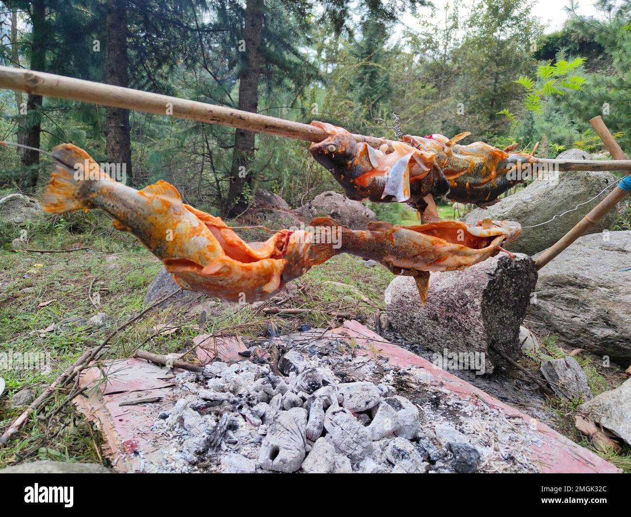 Roasted over bonfire cooked hi-res stock photography and images - Alamy