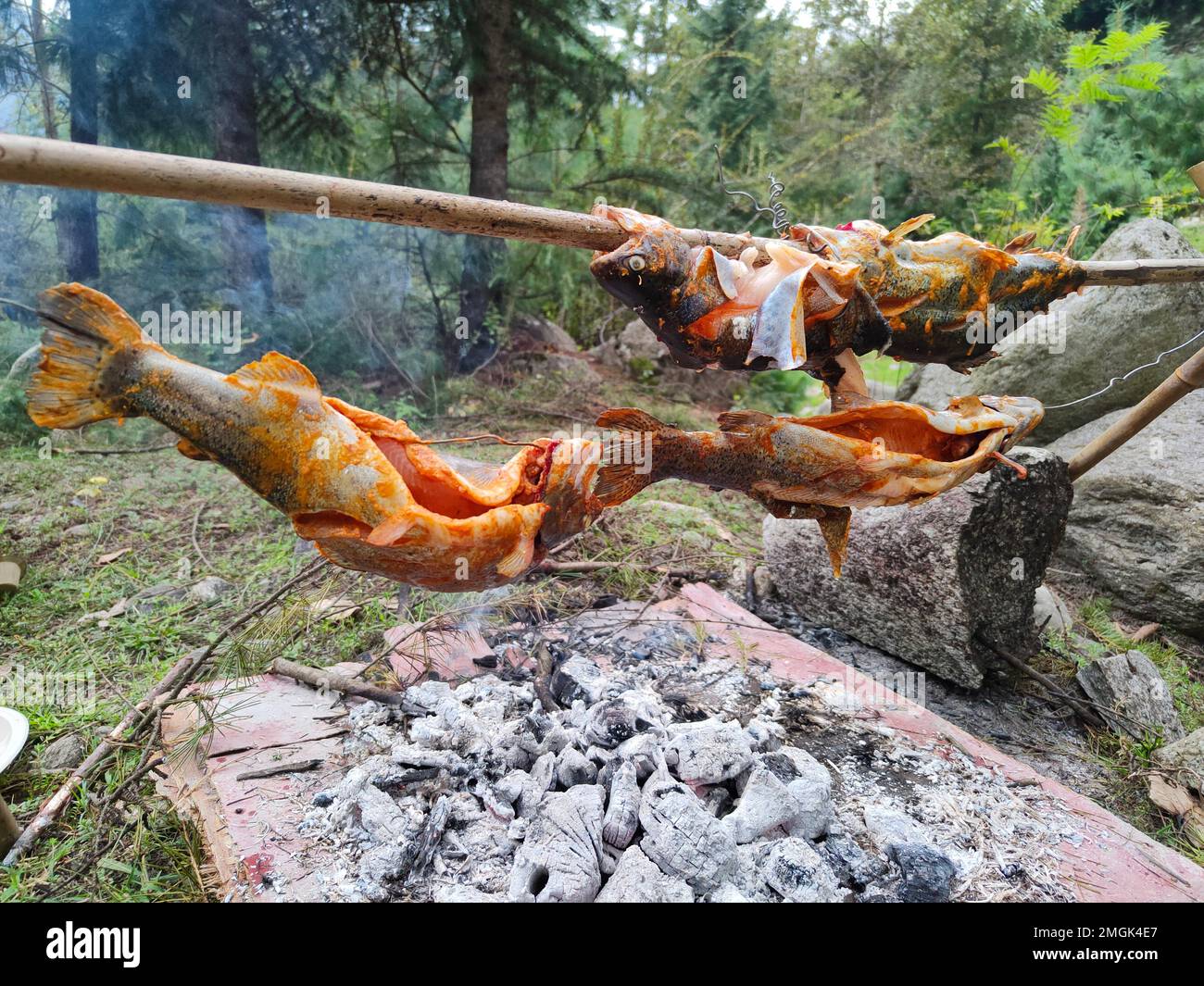 Roasted over bonfire cooked hi-res stock photography and images - Alamy