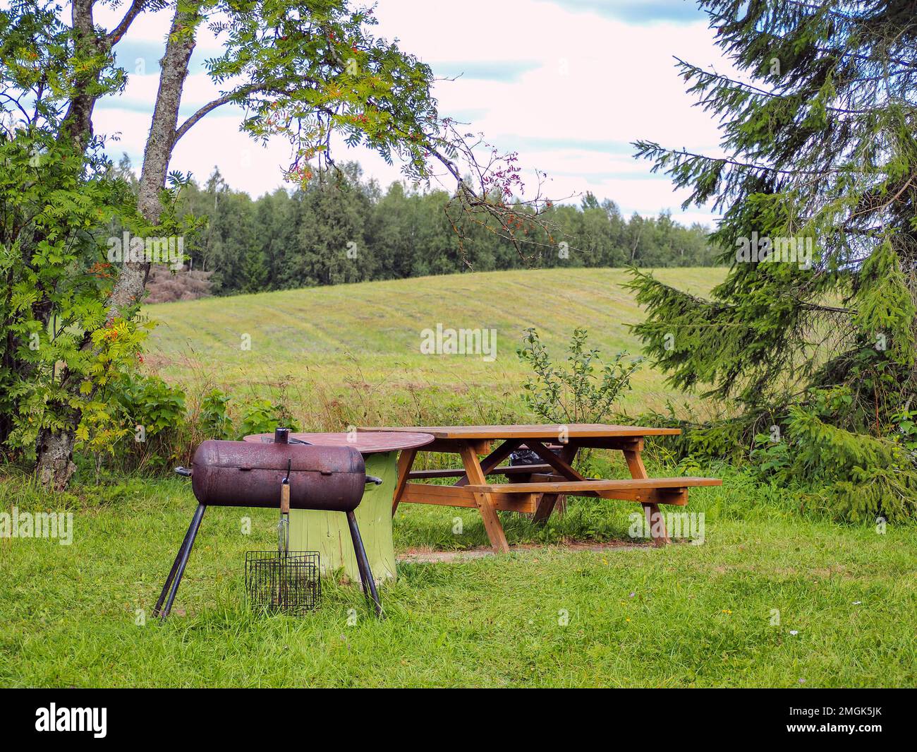 Picnic table and BBQ pit at a forest campsite . South Estonia country ...