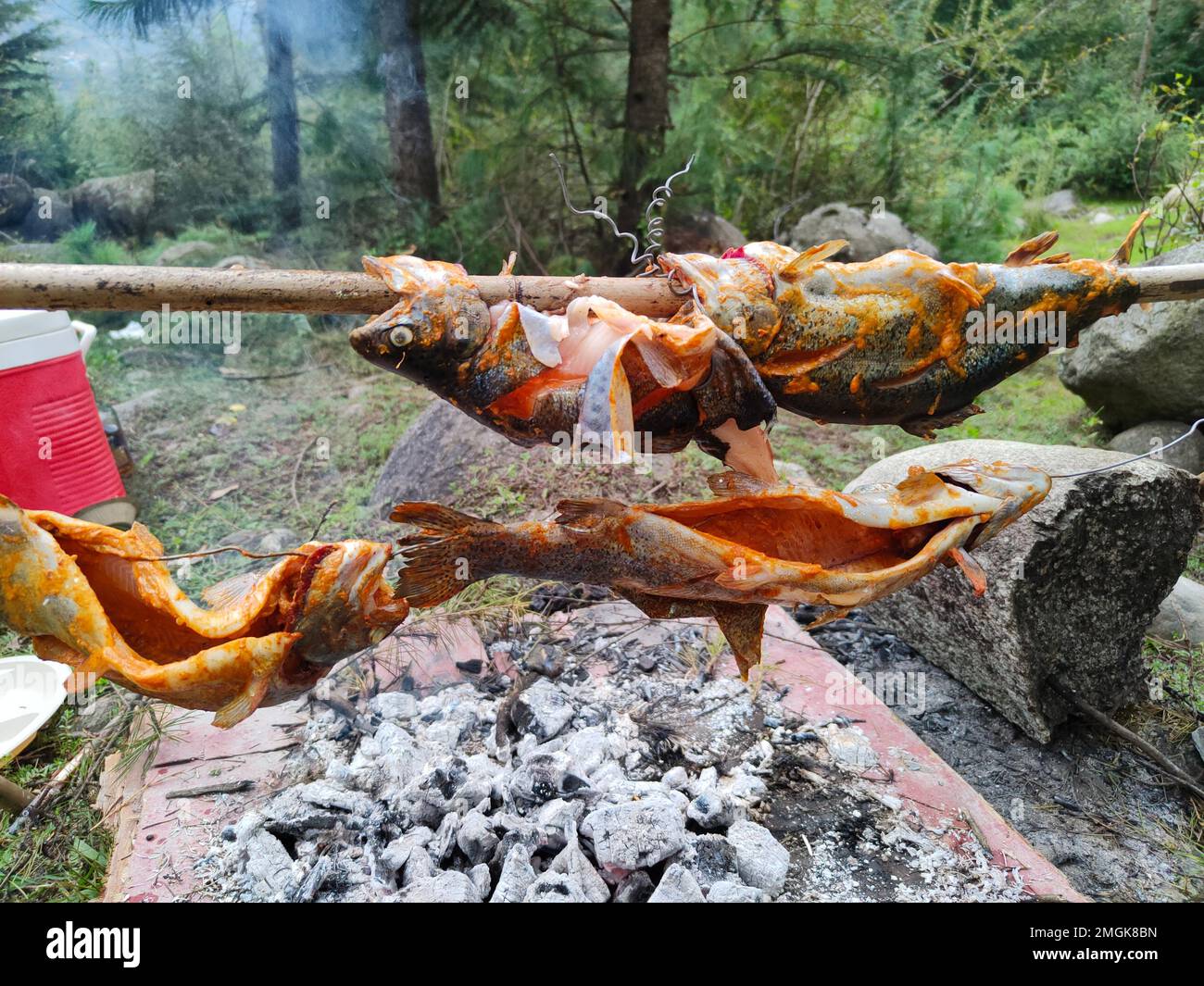 Fish in manali hi-res stock photography and images - Alamy