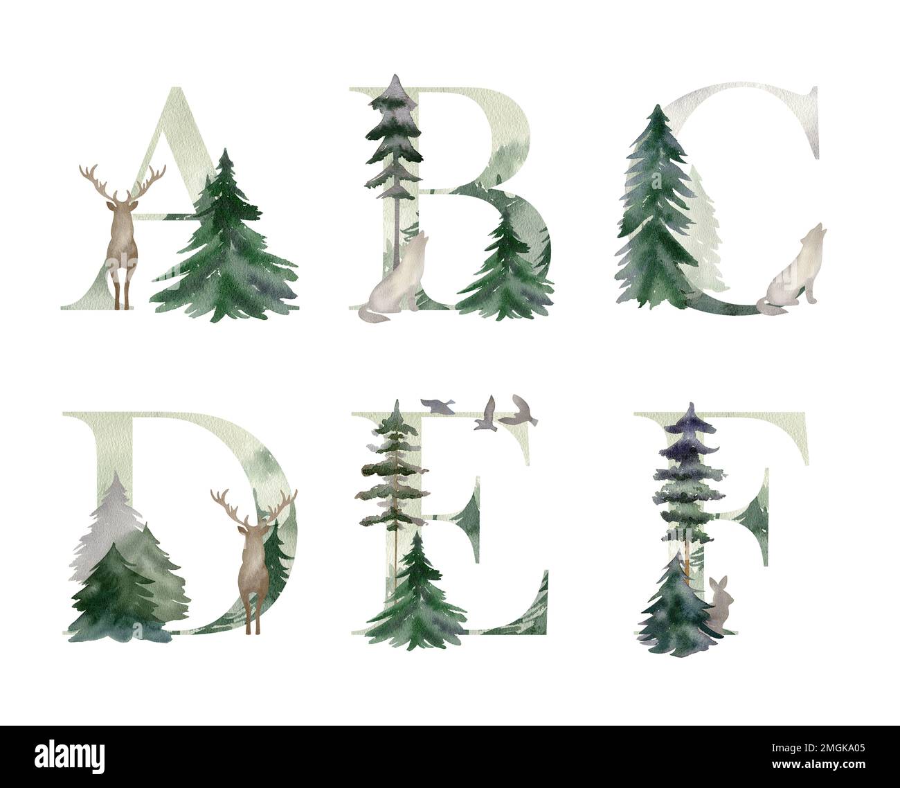 Watercolor forest letters for invitation card, poster and other Stock ...