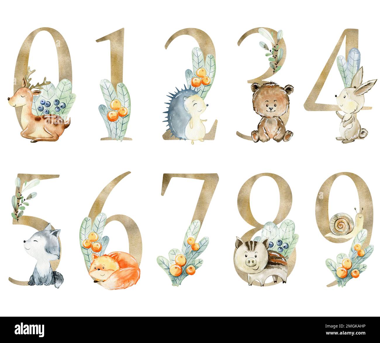 Watercolor woodland animals numbers for invitation card, nursery poster ...