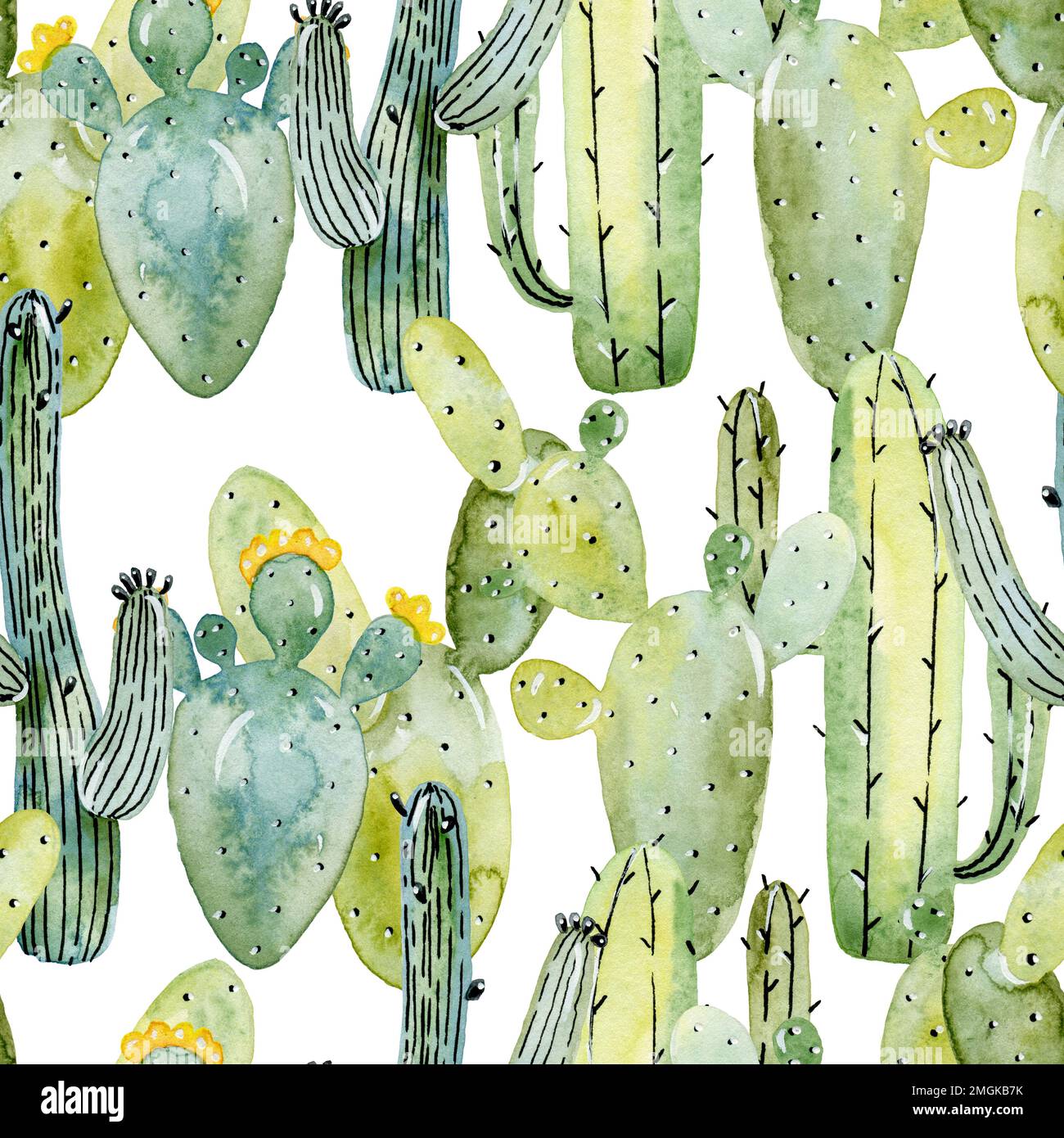 watercolor hand drawn seamless cactus pattern background Stock Photo ...
