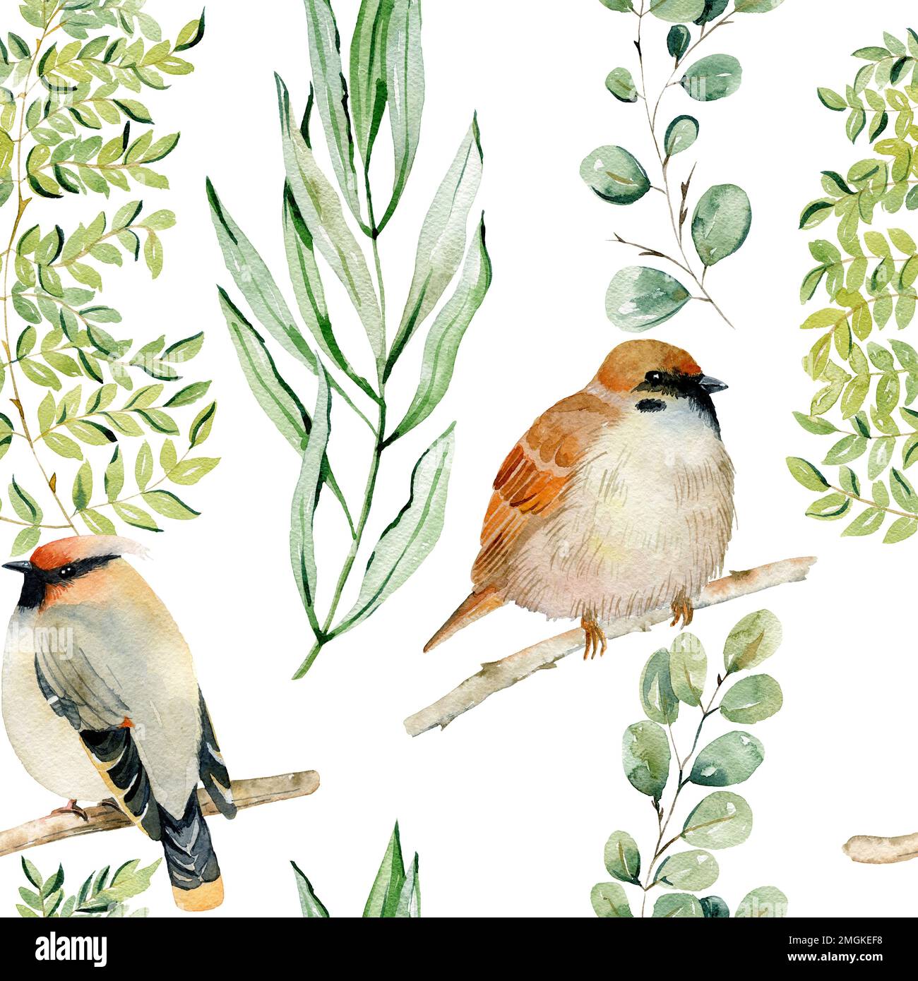 watercolor seamless pattern with birds on the white background Stock ...