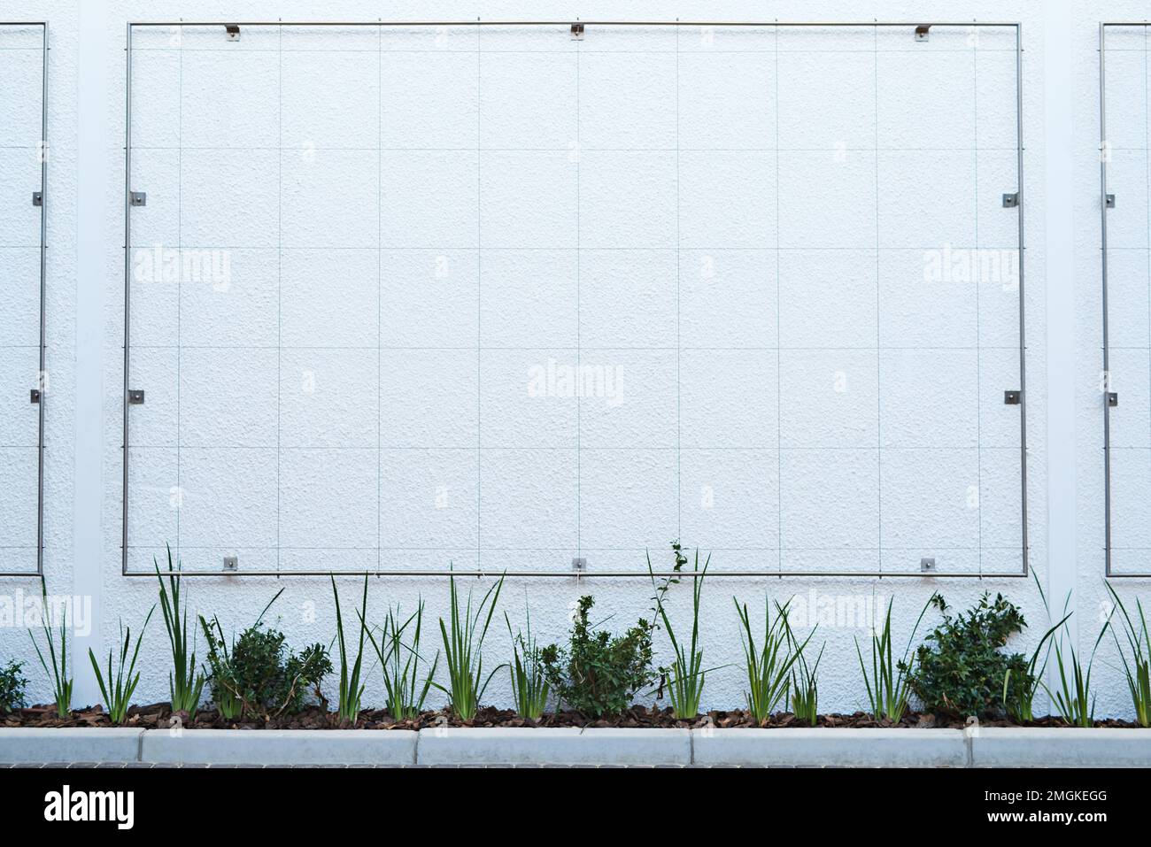 Get yourself noticed. a blank poster with space to add your own text ...